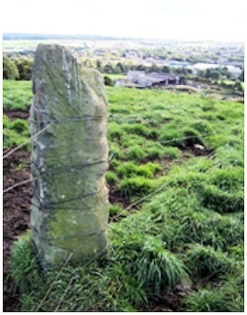 Denovan Mains – Falkirk Local History Society