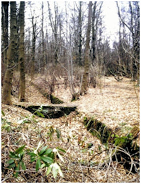 Larbert House – Falkirk Local History Society