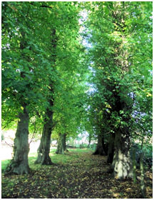 Carron House – Falkirk Local History Society