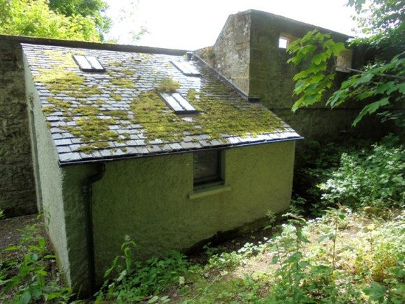 The Pineapple – Falkirk Local History Society