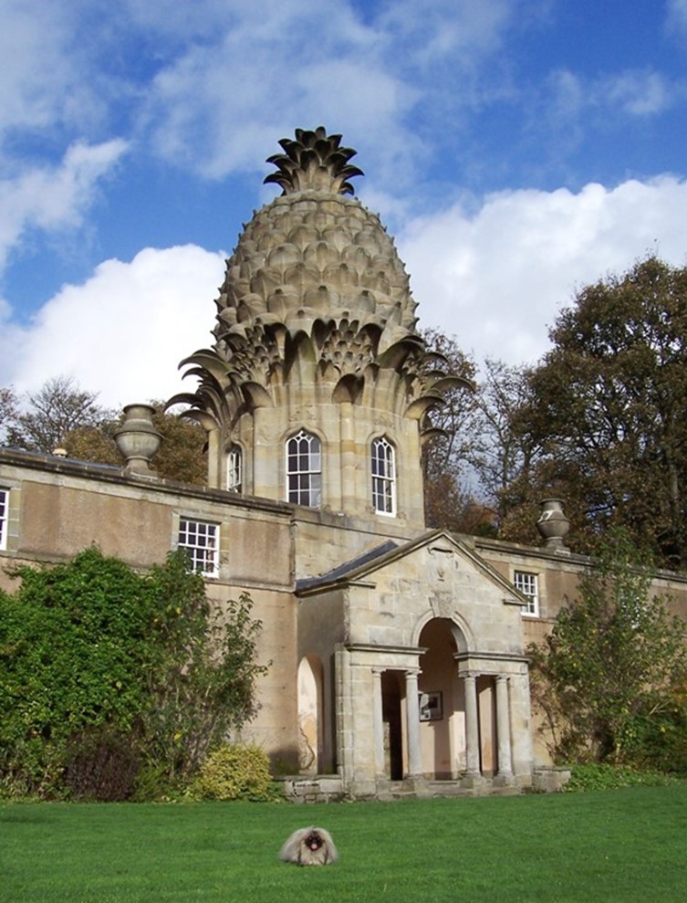 The Pineapple – Falkirk Local History Society